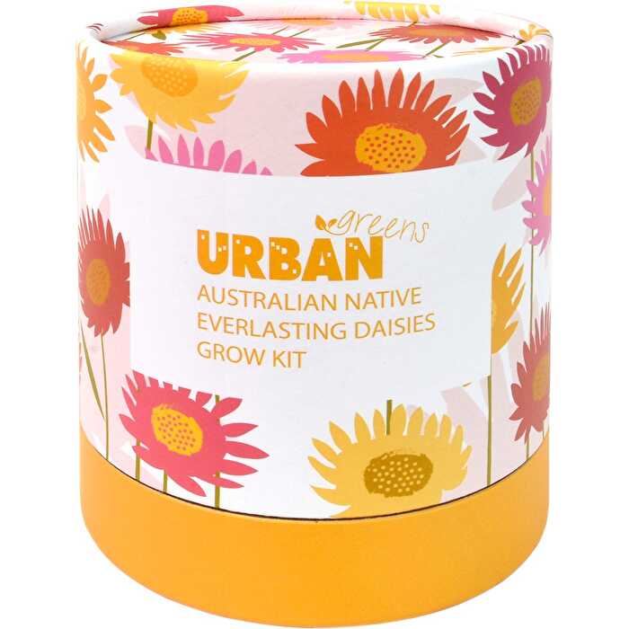 Urban Greens Australian Native Grow Kit Everlasting Daisies – Fresh ...