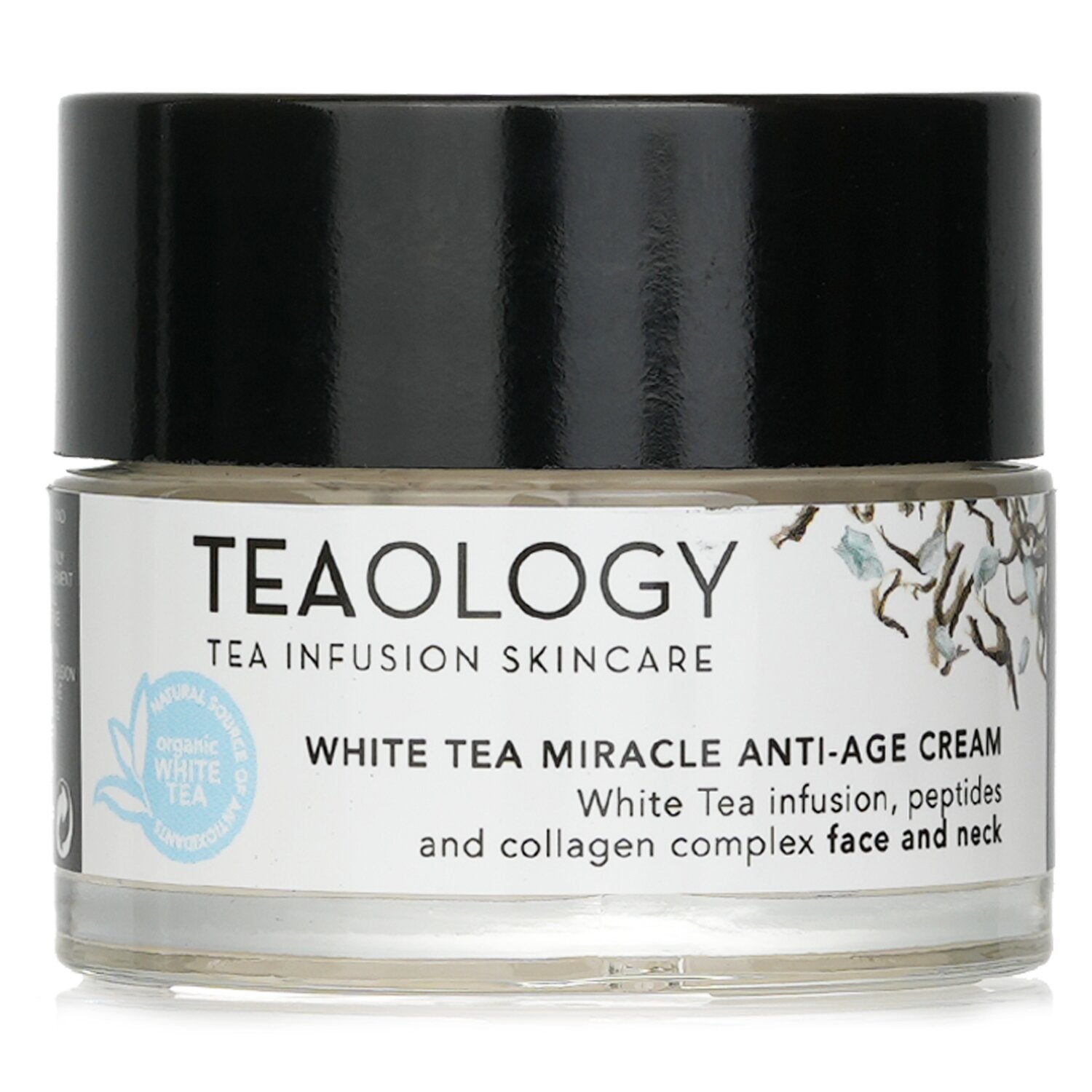 Teaology White Tea Miracle Anti-Age Cream 50ml/1.6oz – Fresh Beauty Co.