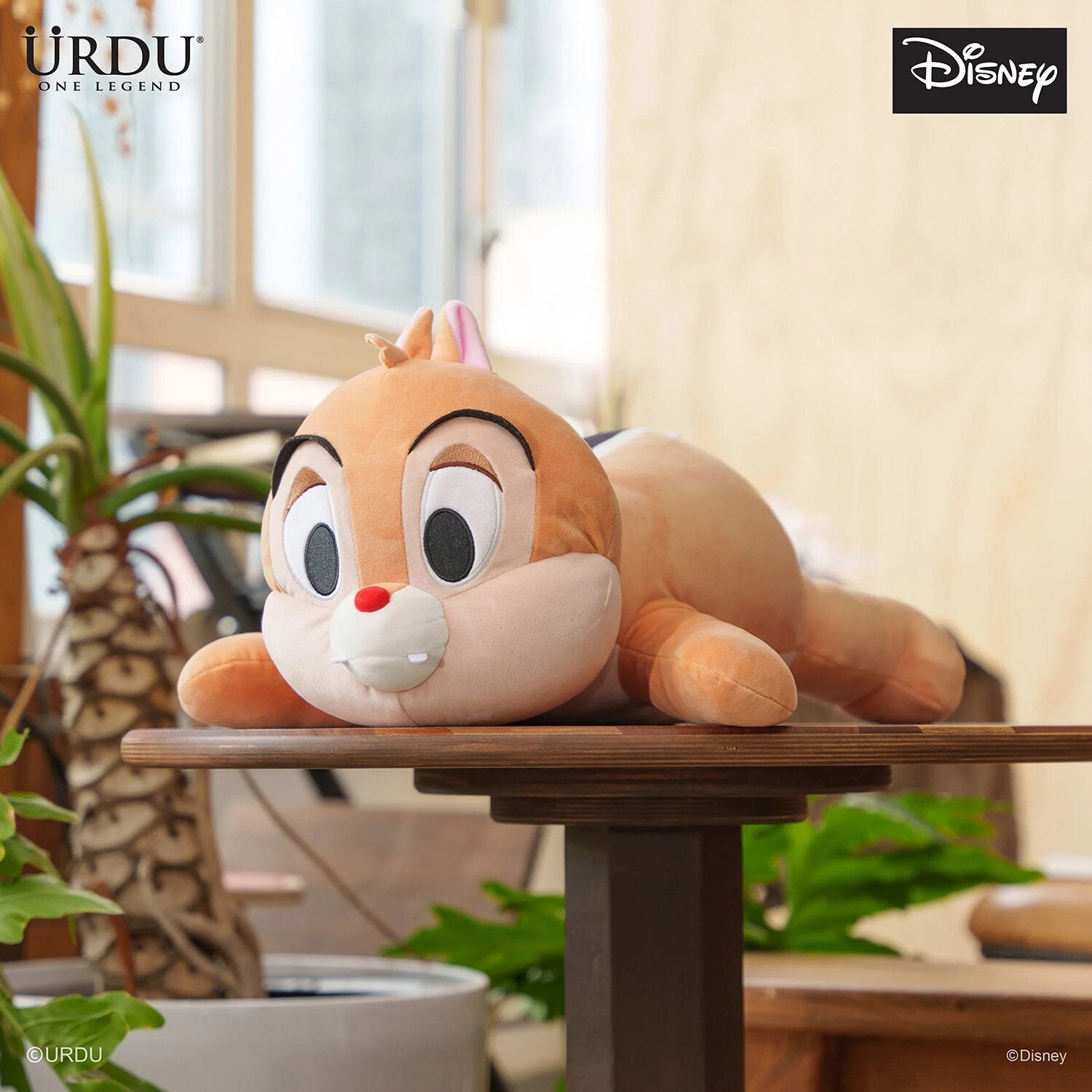Urdu Huggies Series - Dale 59 x 40 x 20cm – Fresh Beauty Co.