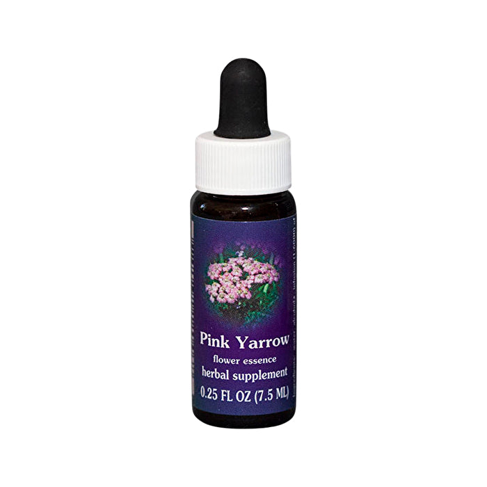 Fes Flower Essences FES Quintessentials Pink Yarrow 7.5ml – Fresh ...